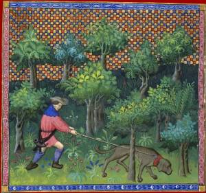 medieval hunting dog | Exploring the medieval hunt