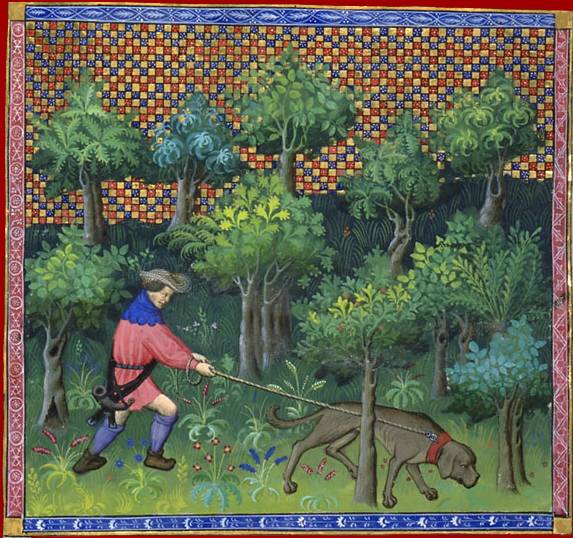 medieval hunting dog | Exploring the medieval hunt