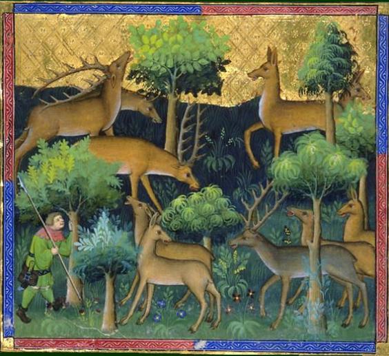 A hunter in Green | Exploring the medieval hunt