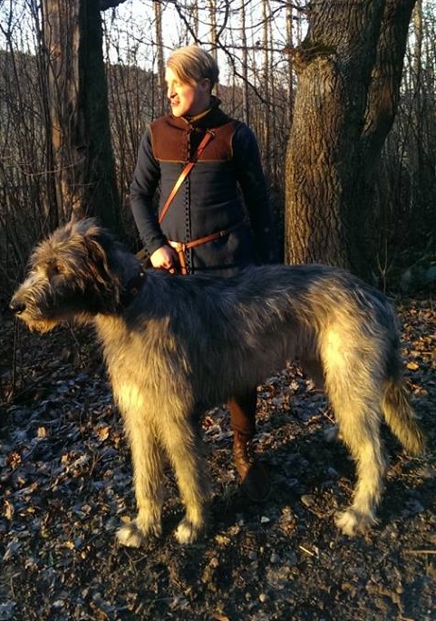 Those old hounds | Exploring the medieval hunt