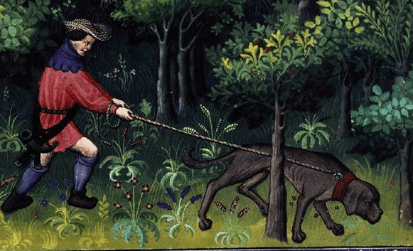 medieval leashes | Exploring the medieval hunt