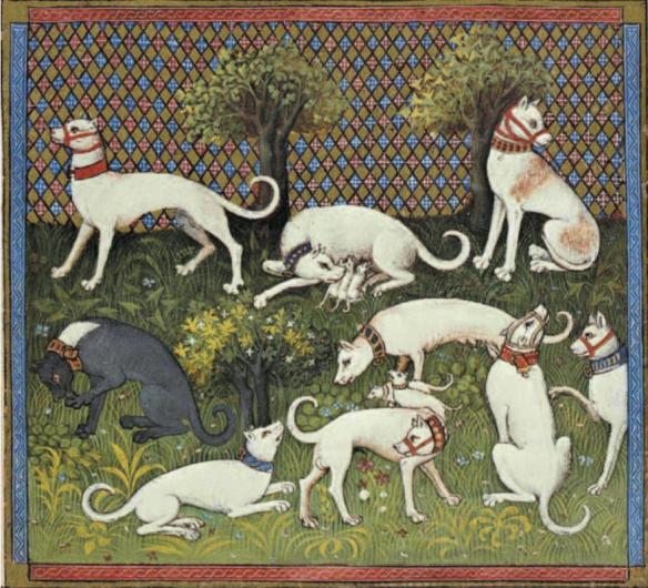 Doghandling -the tools | Exploring the medieval hunt
