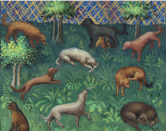 medieval hunting dog | Exploring the medieval hunt