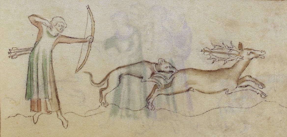 Medieval hunter | Exploring the medieval hunt