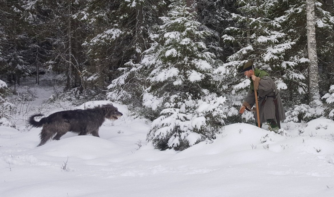 Exploring the medieval hunt