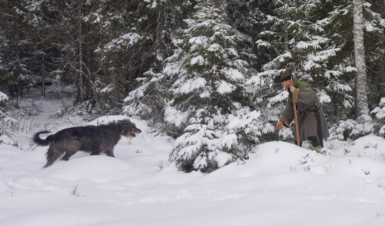 Exploring the medieval hunt