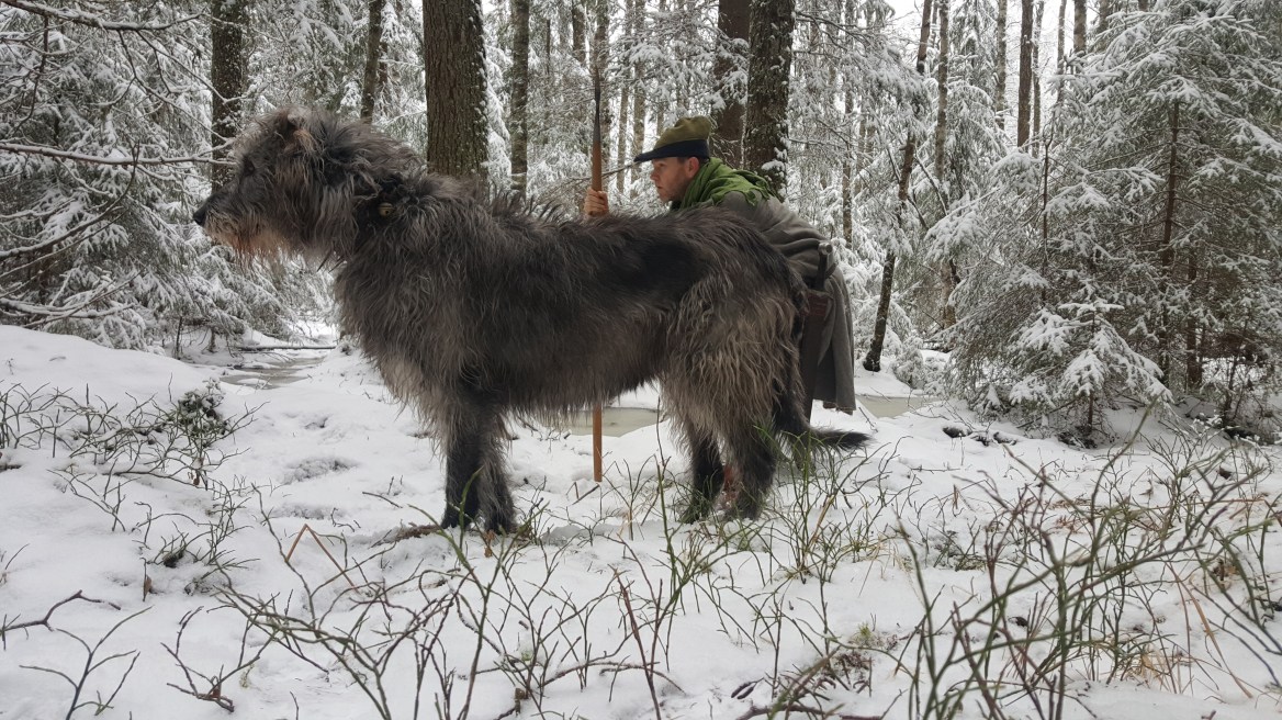 Exploring the medieval hunt