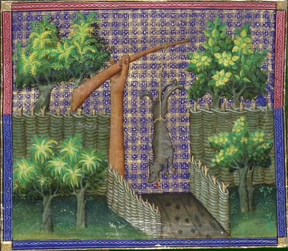 Exploring the medieval hunt