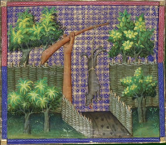 Exploring the medieval hunt